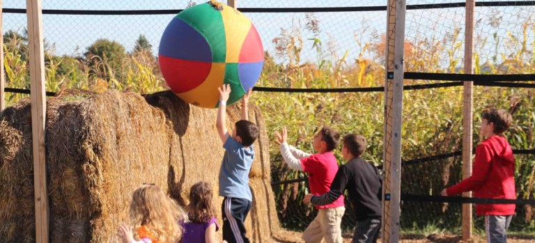Davis Mega Farm Festival is the World's Best Corn Field Maze (5 stars ...