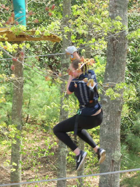 Heritage Adventure Park is a Ropes Course Challenge on Cape Cod (4.5 ...