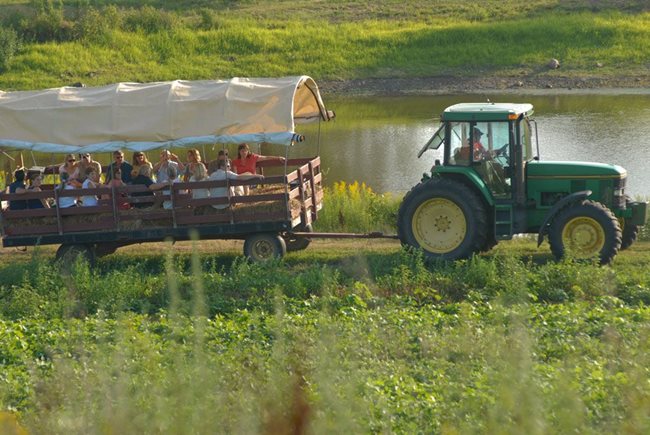 Marini Farm Has the #2 Best Corn Maze in New England (4.5 stars ...