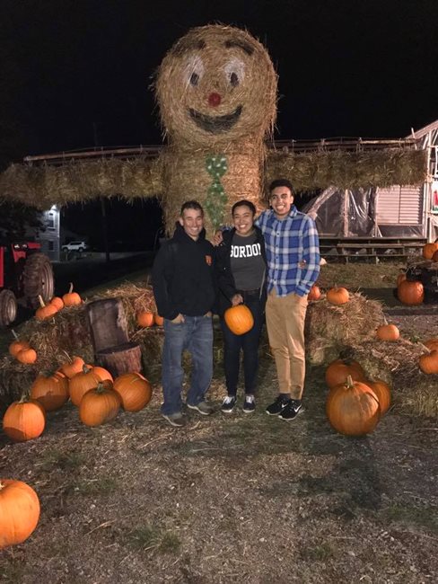 Marini Farm Has the #2 Best Corn Maze in New England (4.5 stars ...