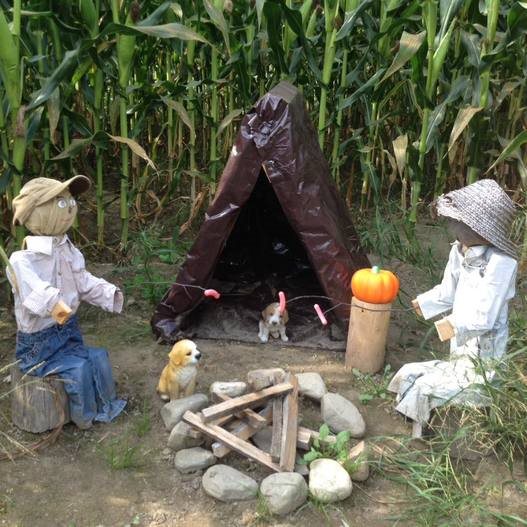 Creep Through a Haunted Corn Field at Hicks Family Farm Haunted ...