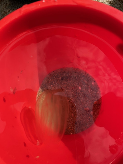 How to See Glowing Jellyfish on Cape Cod - bostoneventsinsider